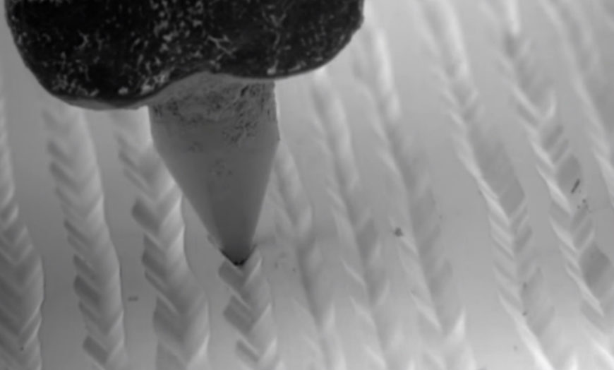 Watch this insane video of a record playing under an electron microscope