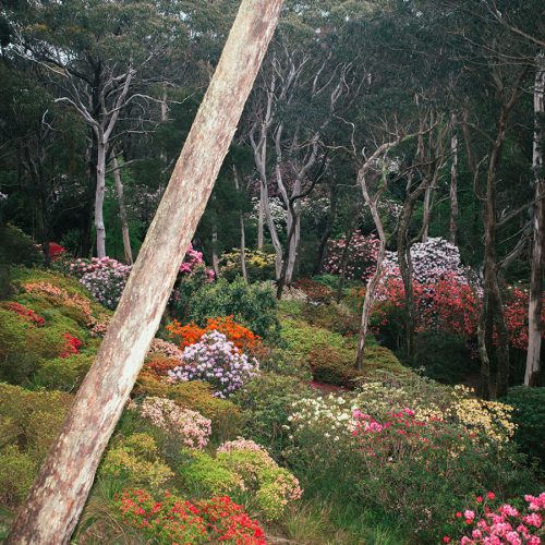 Colour and intuition: a chat with photographer Nick Mckinlay