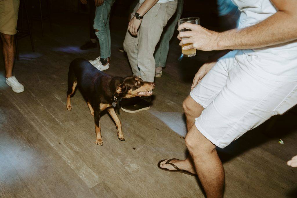 Check out what went down at the very first Bay Sounds!