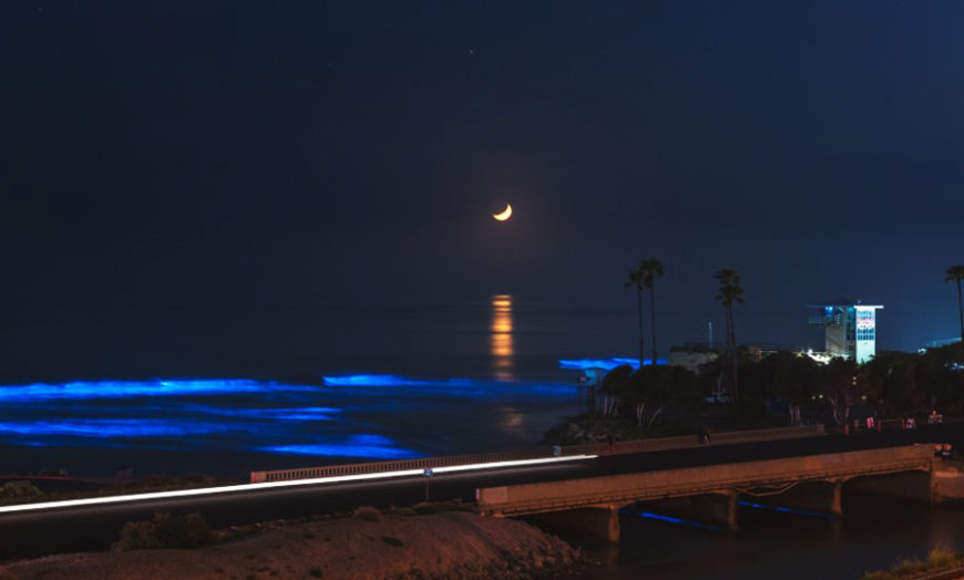 Incredible bioluminescent waves are lighting up Californian beaches