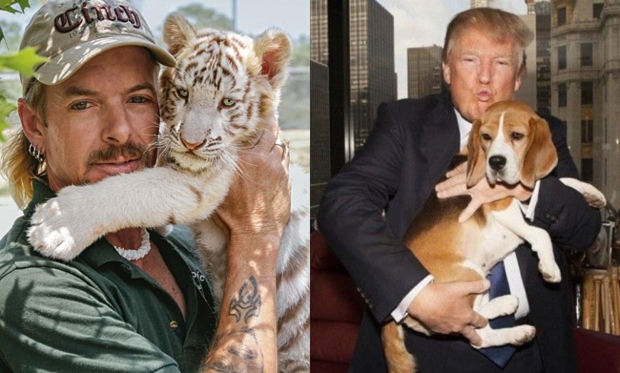 Joe Exotic from 'Tiger King' is reportedly "very close" to being ...