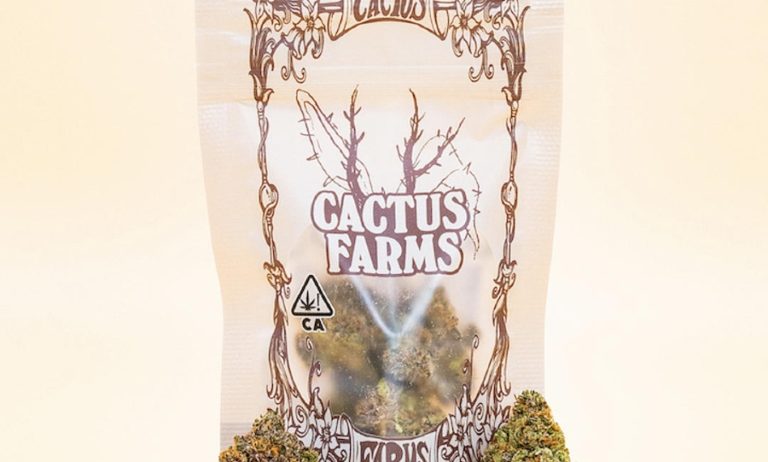 Travis Scott launches weed company, 'Cactus Farms'