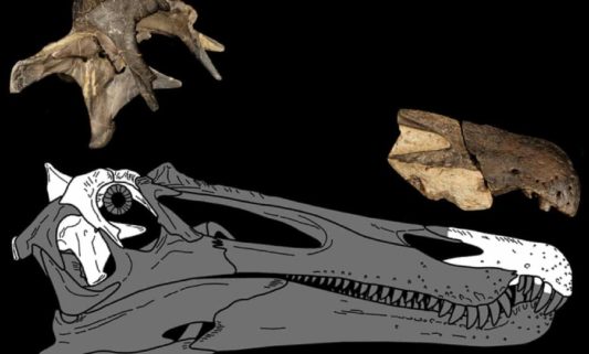 “Hell Heron” among two newly discovered species of dinosaurs in England