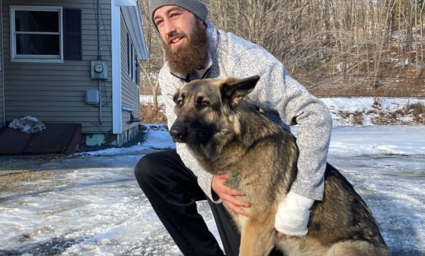 Heroic dogs saving their humans is exactly why all dogs go to heaven