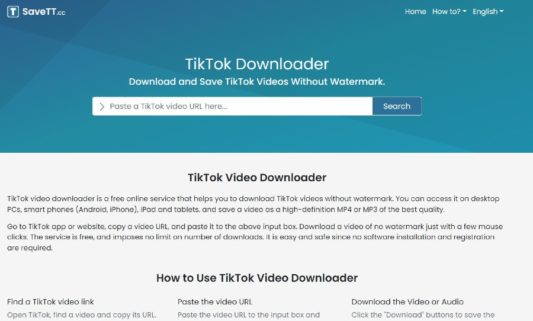The best TikTok video downloaders for web and mobile