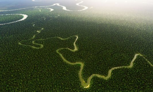 New scans of the Amazon suggest complex ancient civilisations