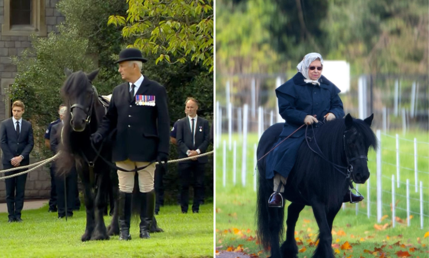 Queen Elizabeth II's funeral: Unexpected farewell moments