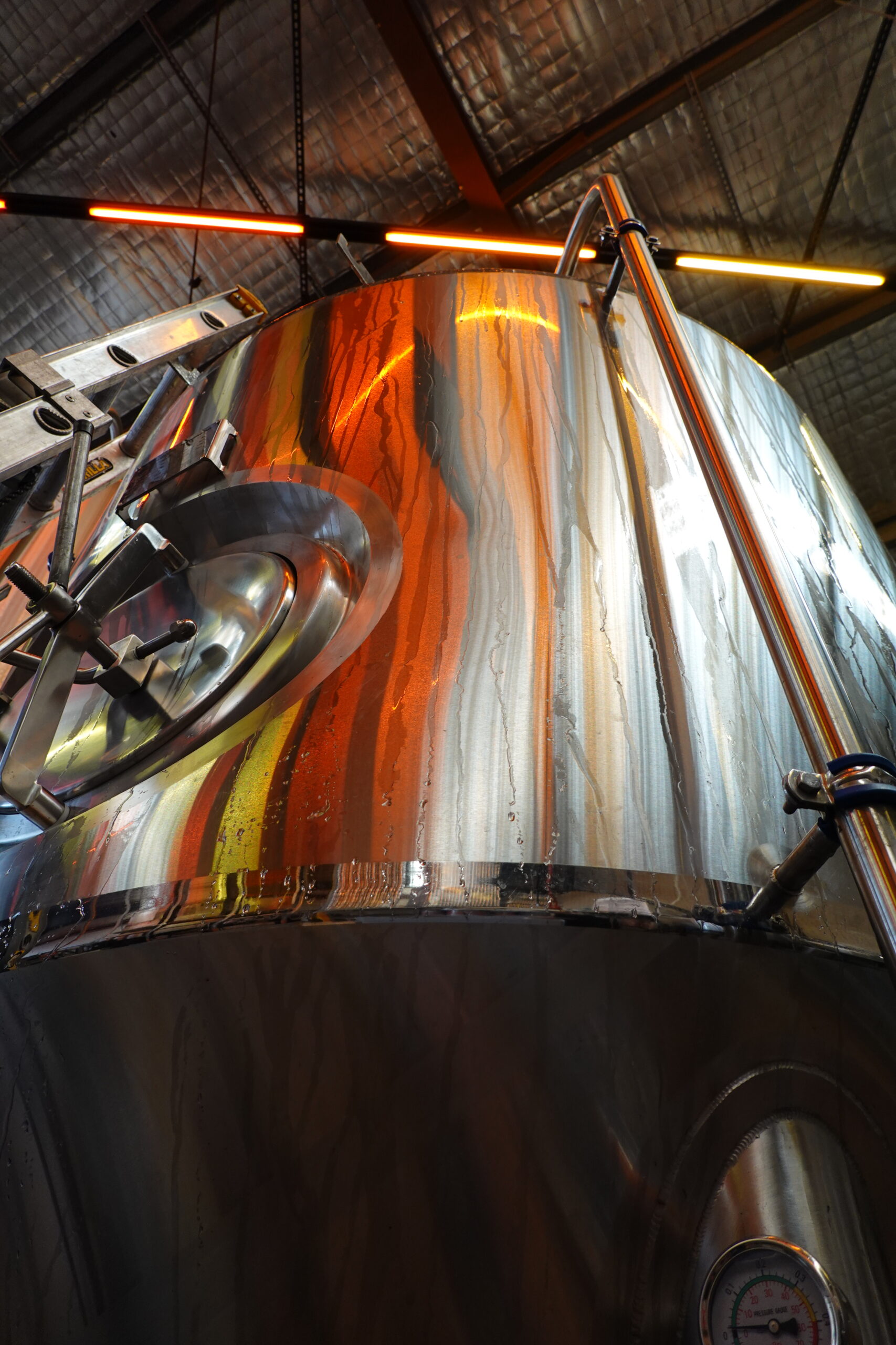 Yulli's Brews: Where music, craft beer, and vegan awesomeness hang out ...