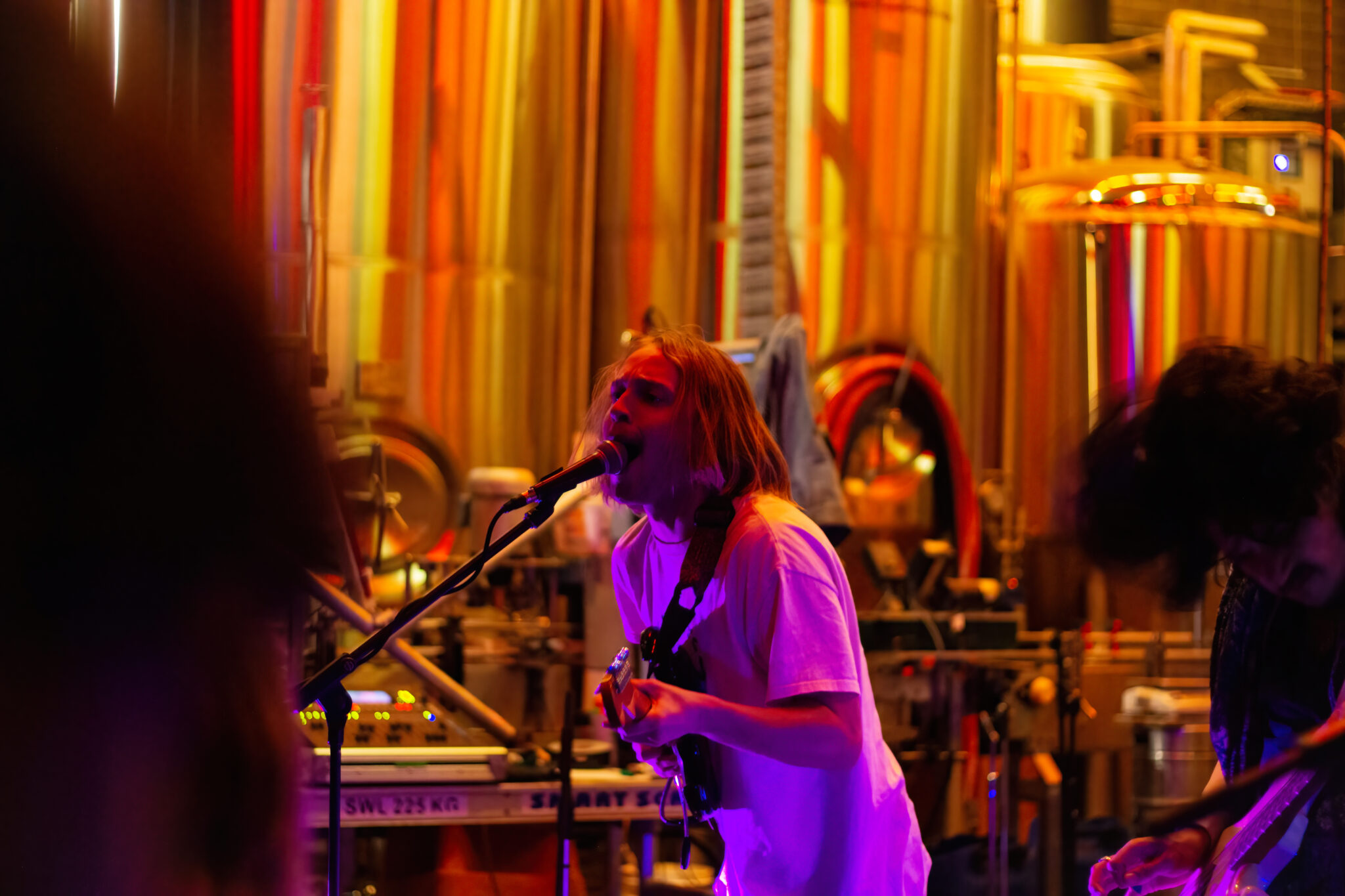 Yulli's Brews: Where music, craft beer, and vegan awesomeness hang out ...