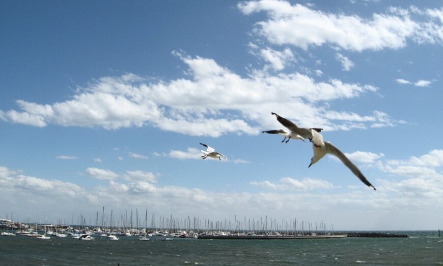 Genevieve Sovereign shares four-step guide to achieving creativity